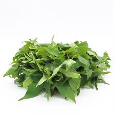 MATEMBELE – coolamba